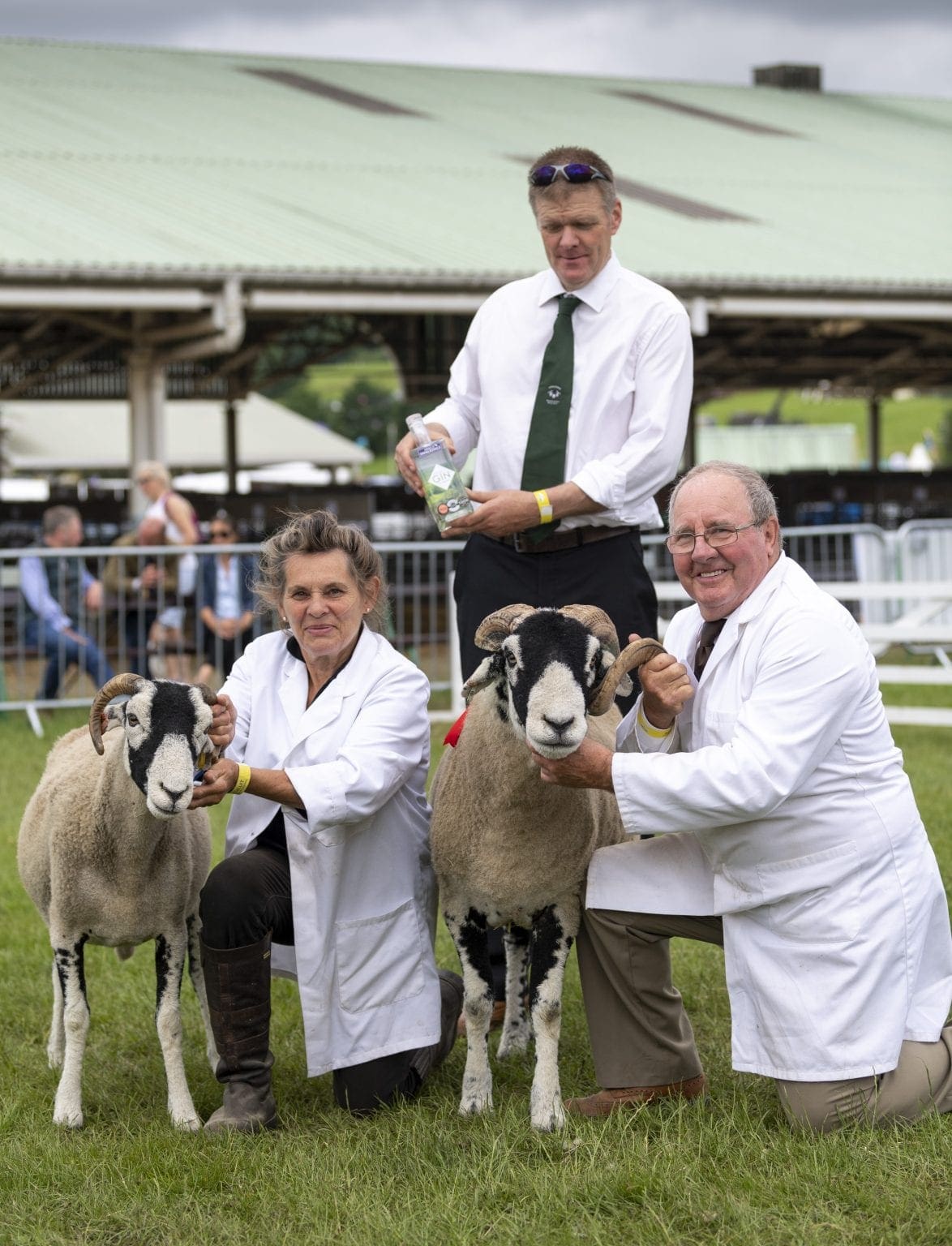 Spirit of Swaledale | Swaledale Sheep Breeders Association | News ...